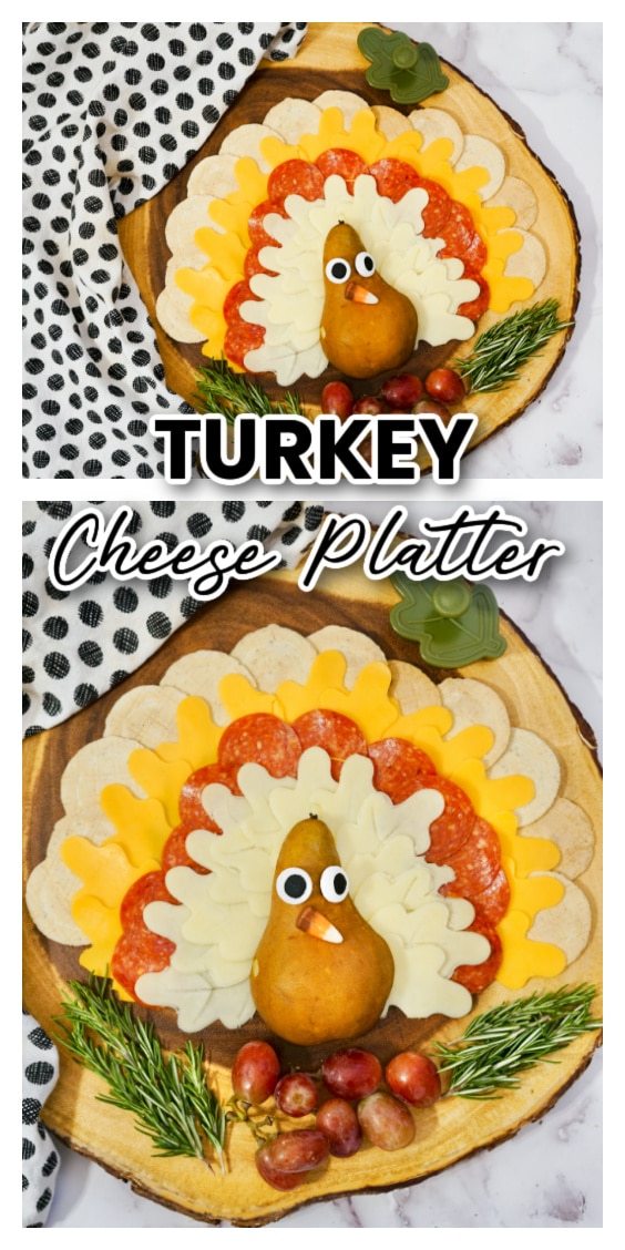 Turkey Cheese Platter